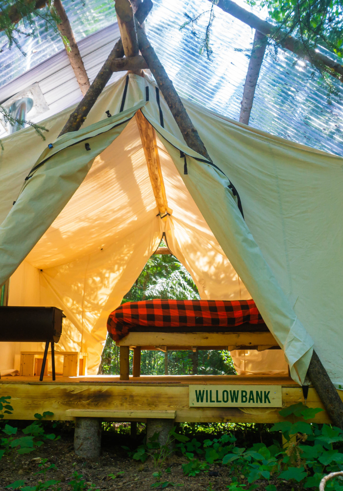 Uncover the Best Things to Do in Golden, BC: Your Ultimate Adventure ...